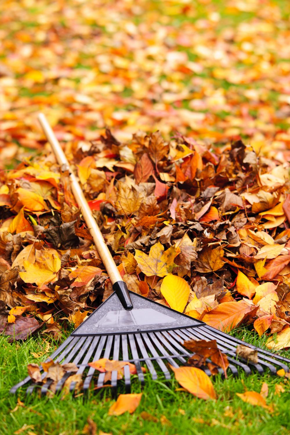 2019 Fall Leaf Pick Up PROGRAM – Village of Grafton